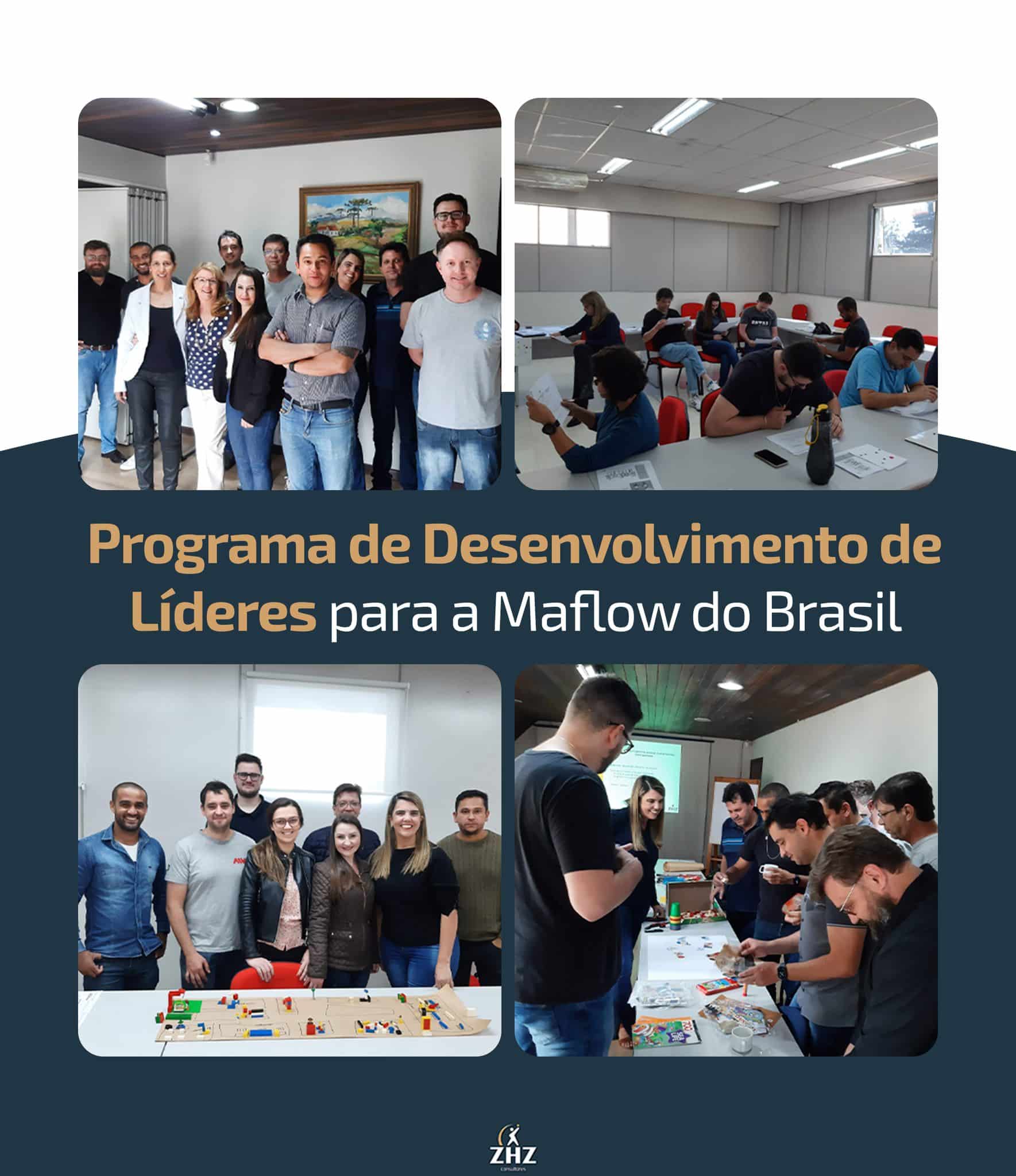 Programa de Desenvolvimento de Líderes para Maflow do Brasil - ZHZ